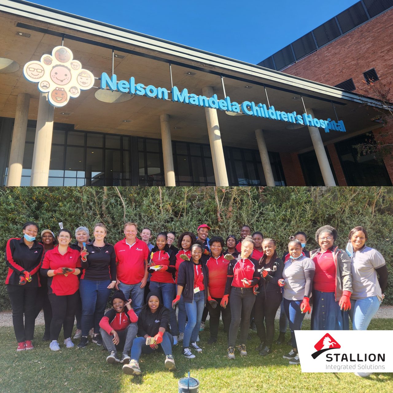 Stallion CSI | Stallion Integrated