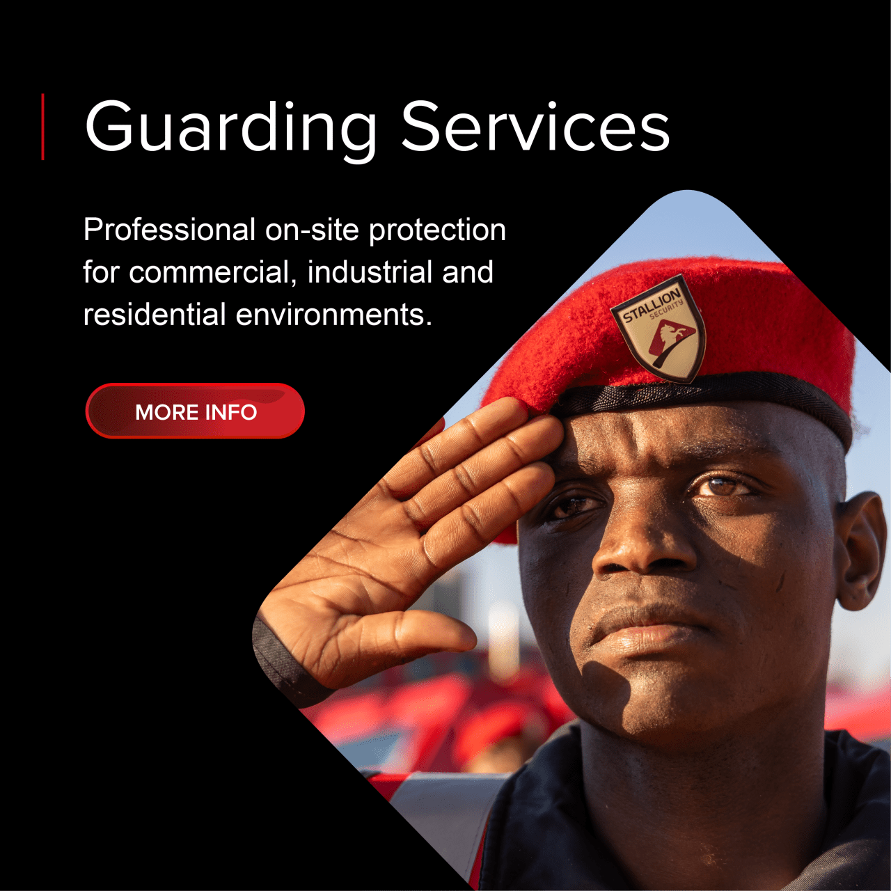 All Stallion Services | Stallion Integrated