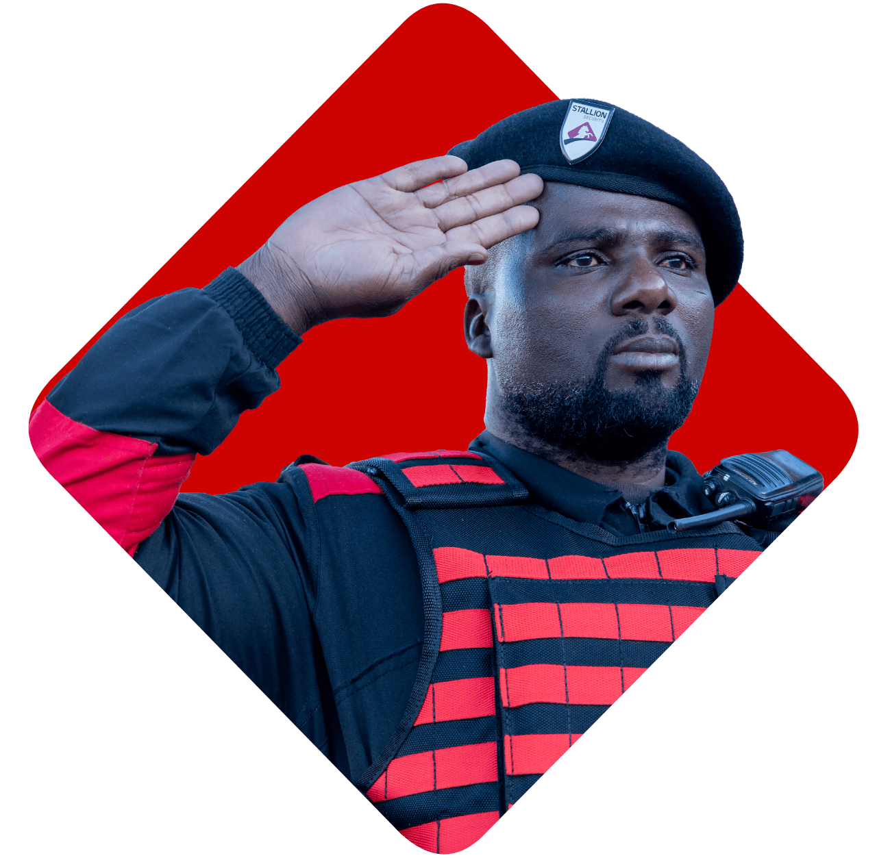 About Stallion Integrated | Stallion Integrated